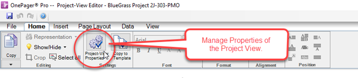Editing with the Project-View Properties form for Version 6.0 (Portal) - OnePager Documentation