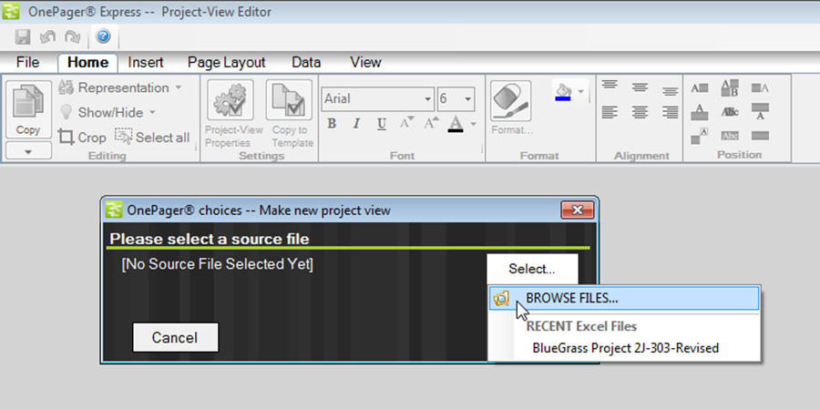 Creating a NEW Project View - OnePager Express Desktop for Version 5.3 - OnePager Documentation