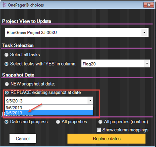 REPLACING a Snapshot - OnePager Pro - OnePager Documentation