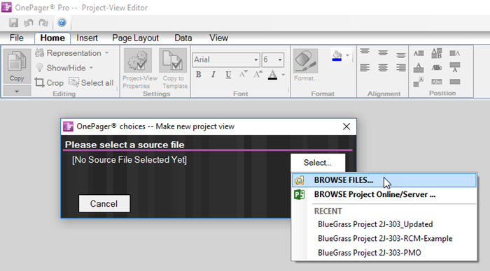 Creating a NEW Project View - OnePager Pro Desktop for Version 6.1 - OnePager Documentation
