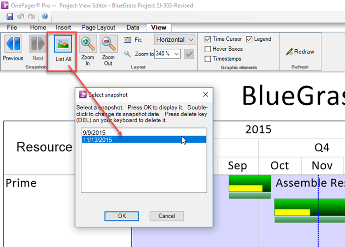 Opening an EXISTING Project View - OnePager Pro Add-in for Version 6.1 - OnePager Documentation